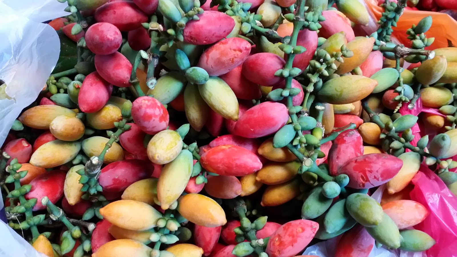 The Journey Of My Life @--: Buah Belinjau